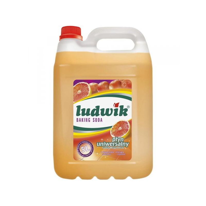 LUDWIK LUDW PLYN UNIWERSALNY BAKING SODA 5L Drogerie Natura